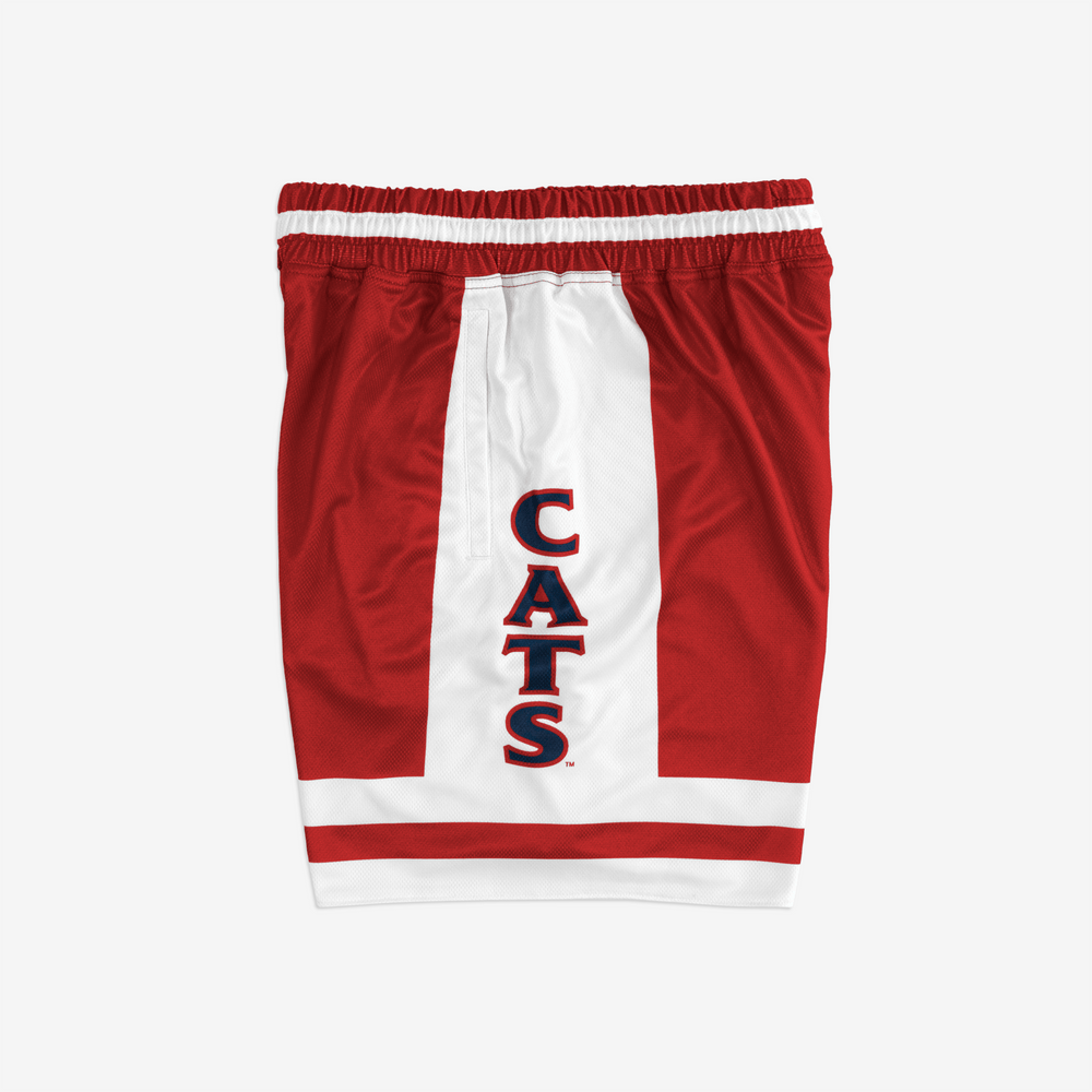 Arizona Wildcats 2000-2001 Retro Shorts (Alternate)