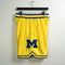 Michigan Wolverines 1992-1993 Legacy Shorts